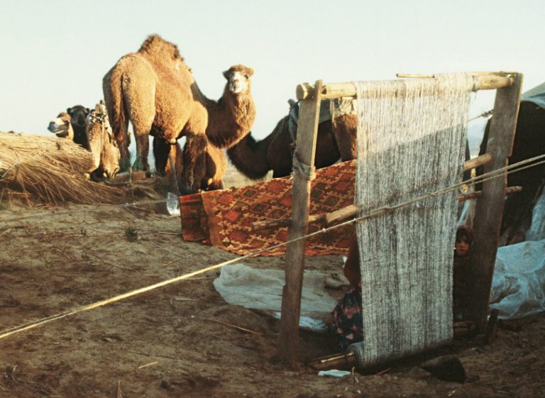 Fiber Culture, The Nomad Way to Use Wool, Goat Hair and Other Fibers in ...