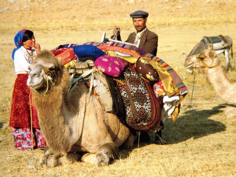 Hand-Weavings Belonging to The Nomadic Culture – Turkish Ethnic Culture